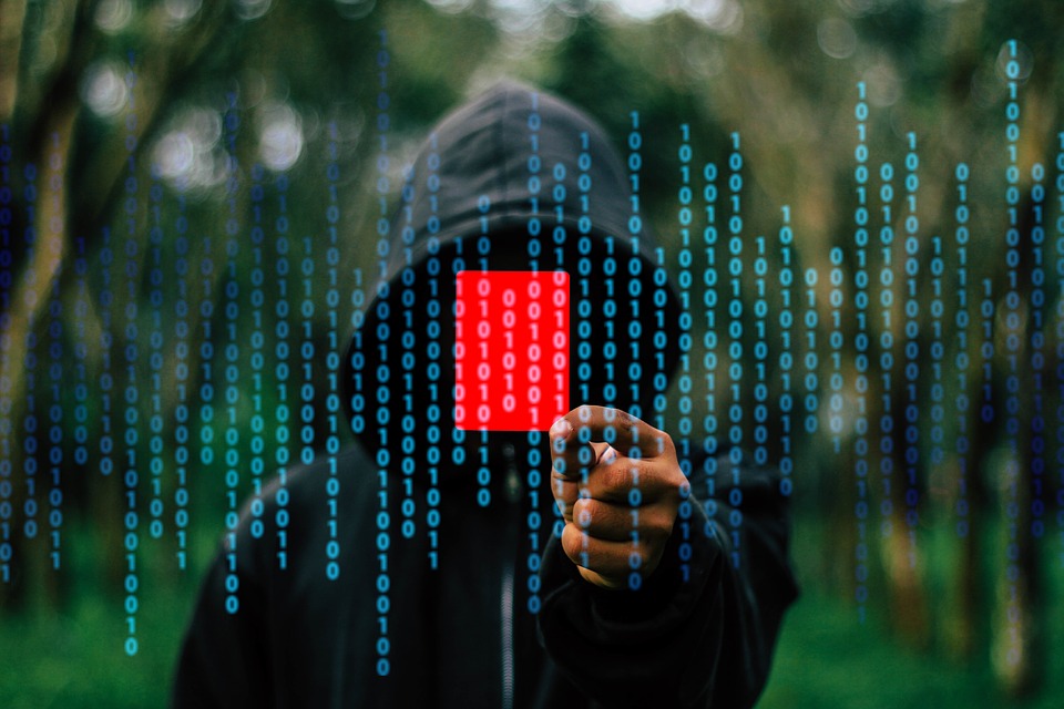 The Impact of Technology on Organised Crime