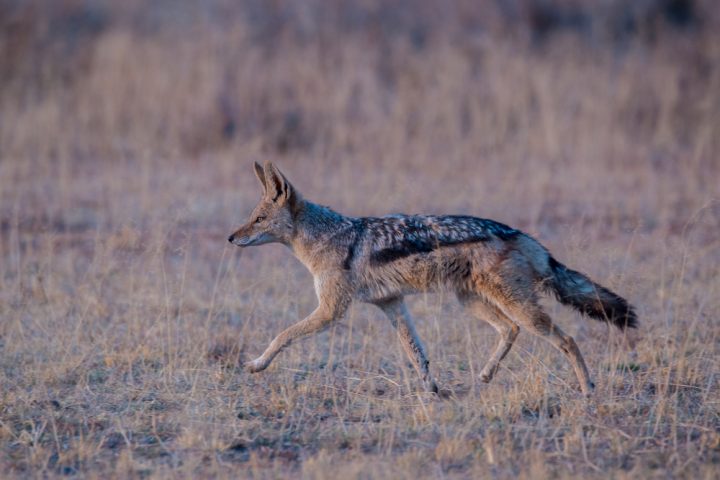 Where are they now? Defendants in famous criminal law cases