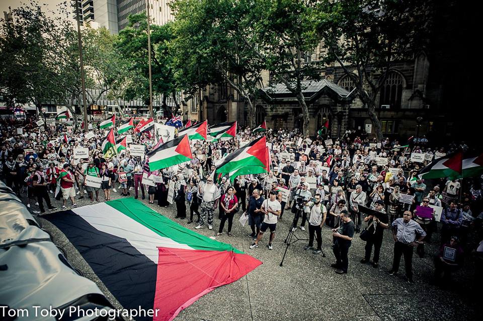 Solidarity With Palestinians: An Interview With Palestine Action Group ...