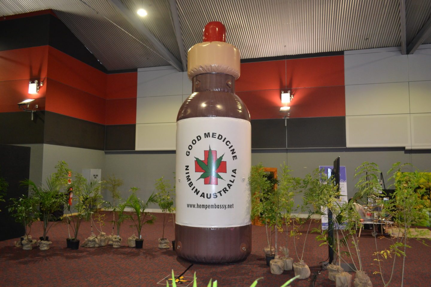 It’s Now Legal to Smoke Cannabis in Australia’s Capital: An Interview ...