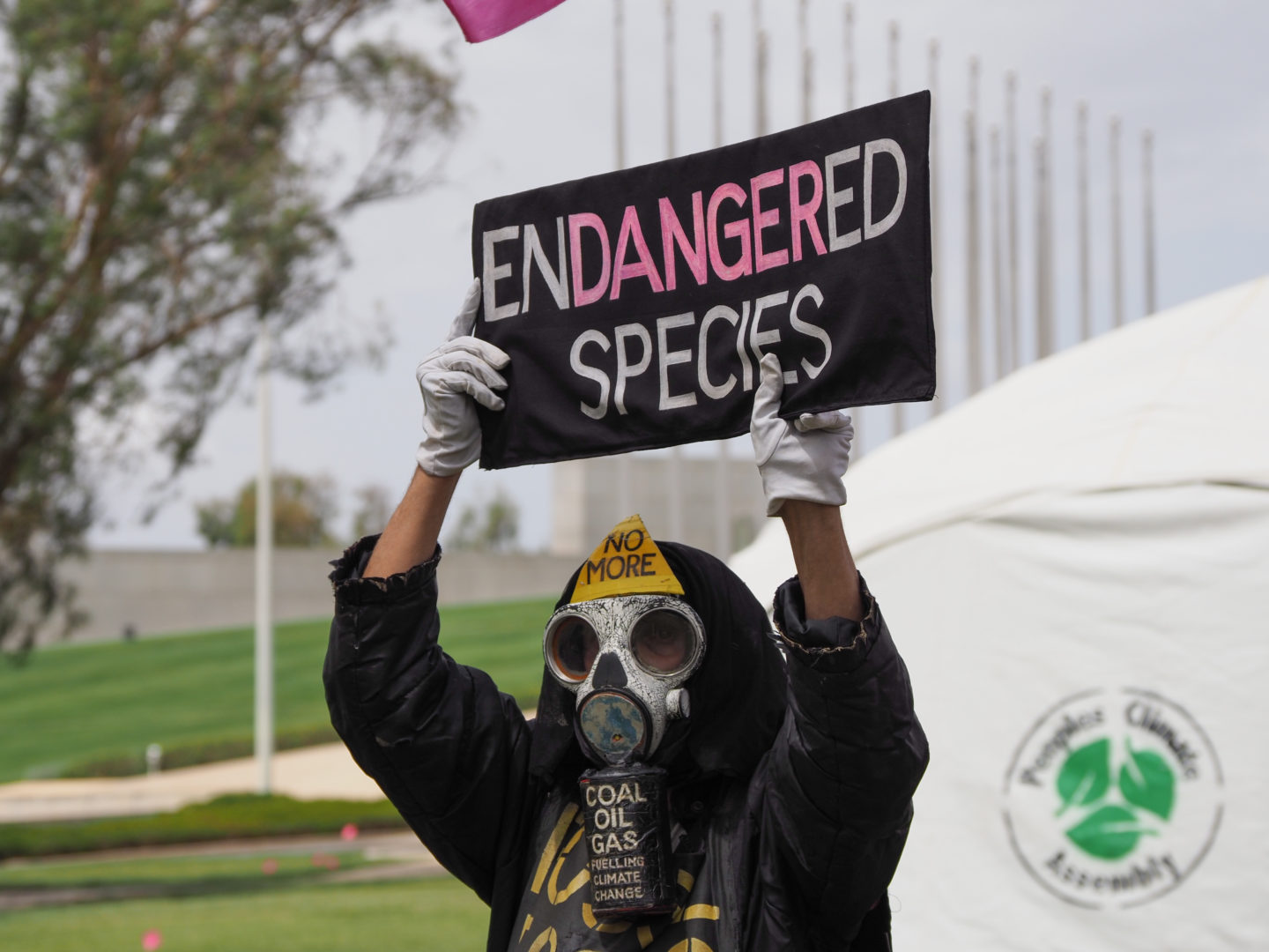 Tell the Truth: An Interview With the People’s Climate Assembly’s John ...