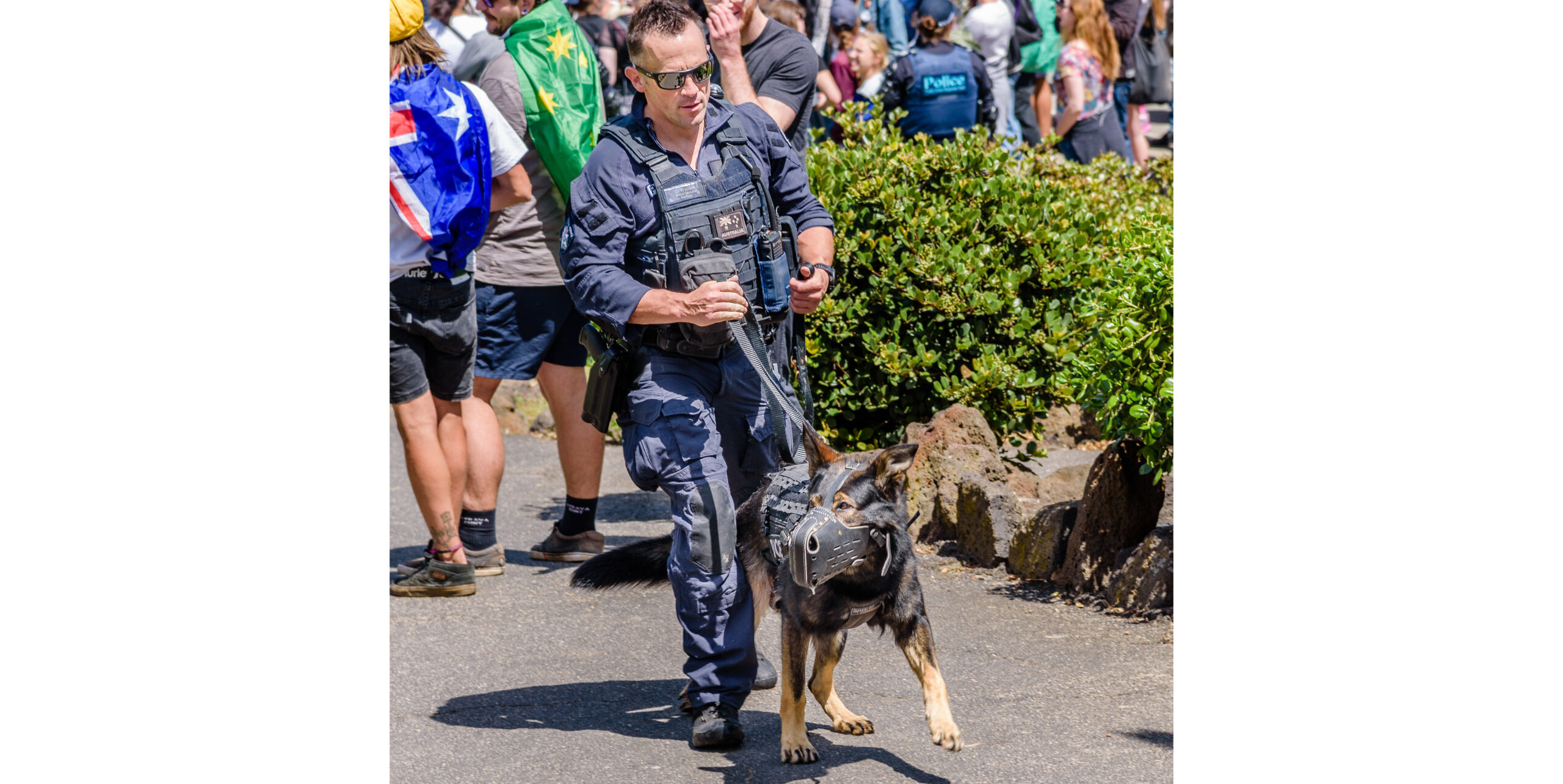 The Law, Defences and Penalties for Animal Cruelty Offences in NSW