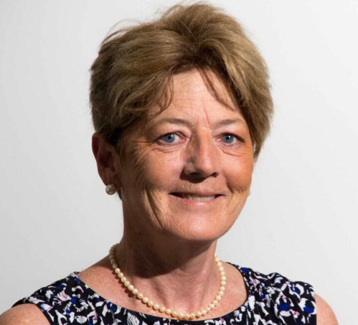 Berejiklian Digs in Her Heels on Eliminating the Koala, As Greens Kill ...