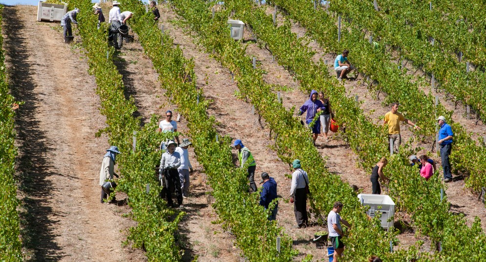 Exploitation of Migrant Workers Set to Increase