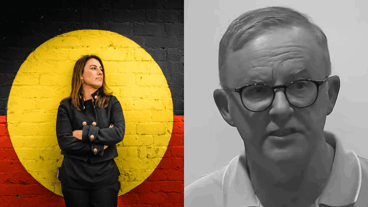 Thorpe on the Shadow of Paternalism Alice Casts on the Voice