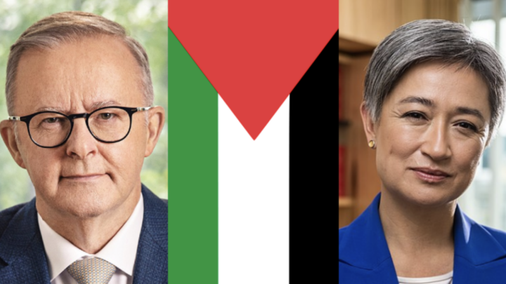 Albanese Ought to Recognise the State of Palestine, as Wong Put It Firmly on the Agenda