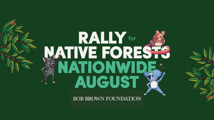 Ending Native Forest Logging Is Within Reach: Bob Brown Foundation’s ...