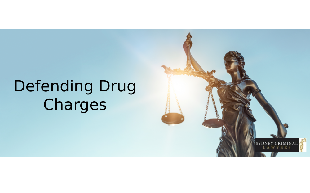 Defending Drug Charges: Putting the Prosecution to Proof and Raising ...