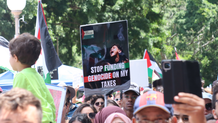 Sydney's Free Palestine Rallies Continue With No Sign of Stopping ...