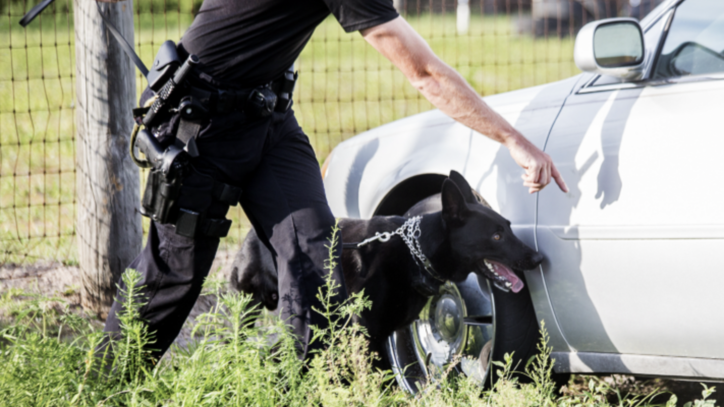 When Can Police Search Your Vehicle in New South Wales?