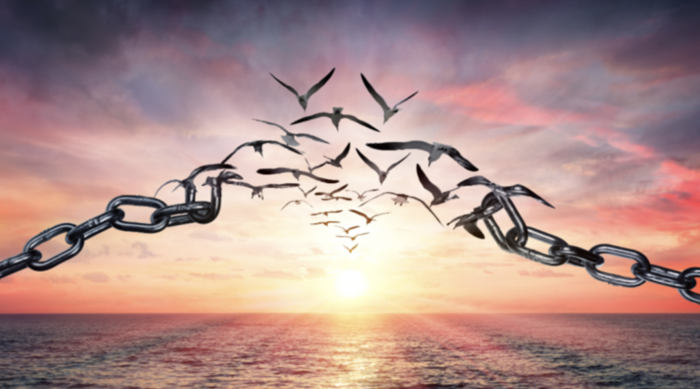 How To Have Charges Dropped Before A Defended Hearing or Jury Trial