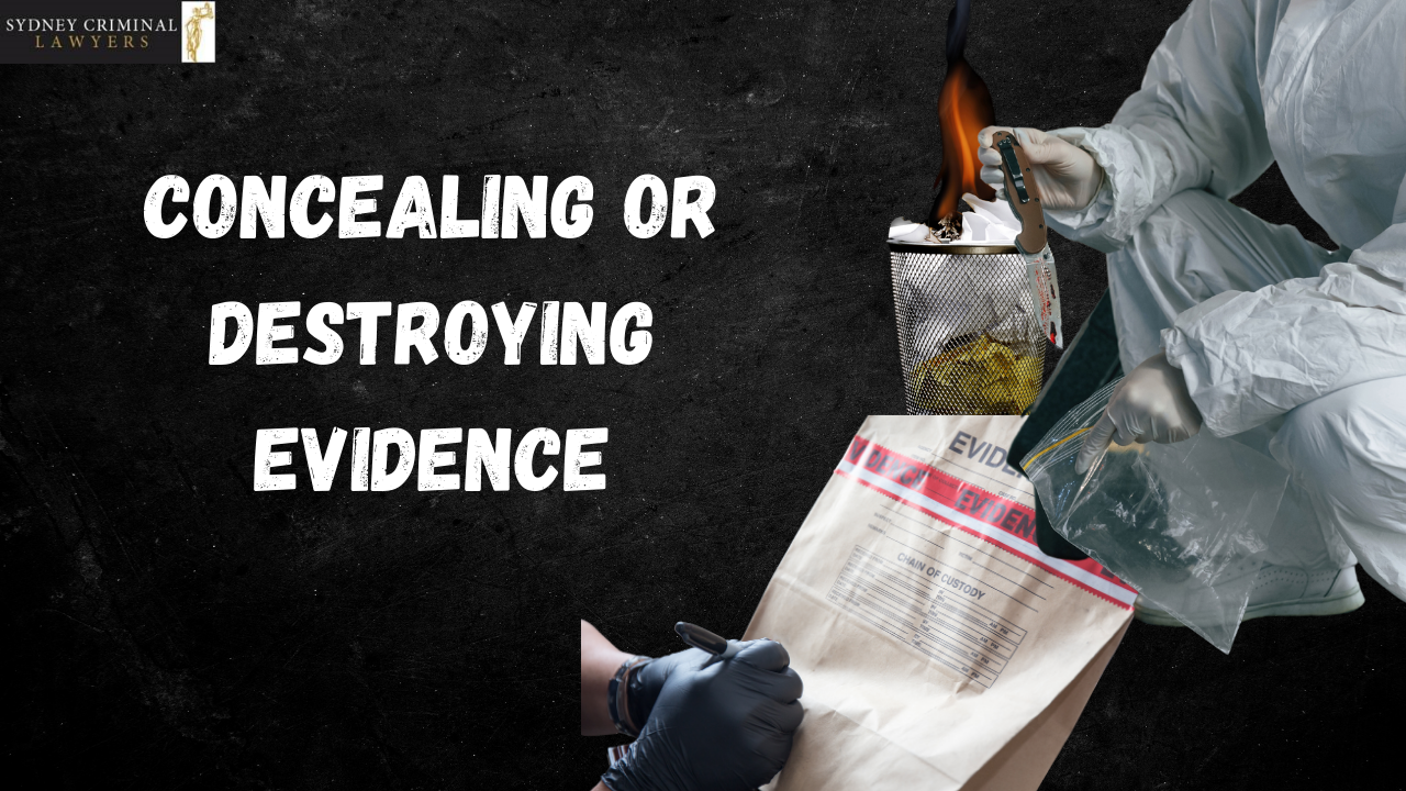 Concealing or Destroying Evidence