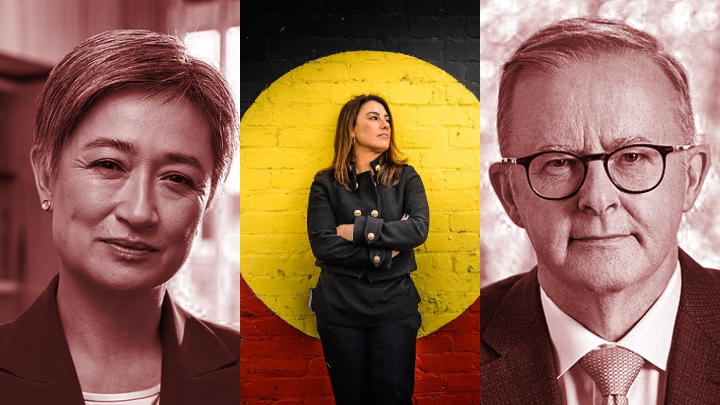 Senator Thorpe Introduces Bill to Facilitate the Prosecution of ...