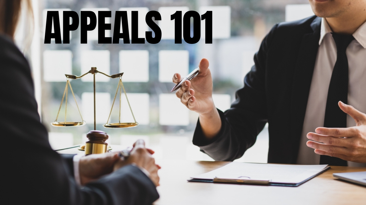 Navigating Appeals in NSW