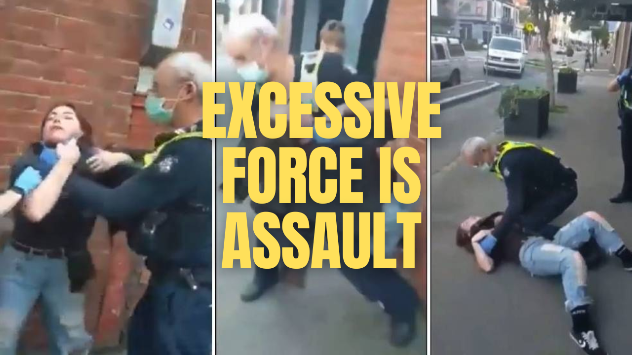 What Amounts to Excessive Force in NSW?