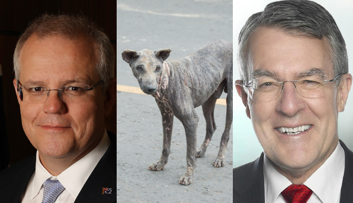 NACC Under Investigation for Corrupt Conduct, After Refusing RoboDebt ...