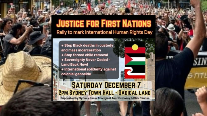 “Important to Stand with Us”: Dunghutti Activist Paul Silva on Rallying ...