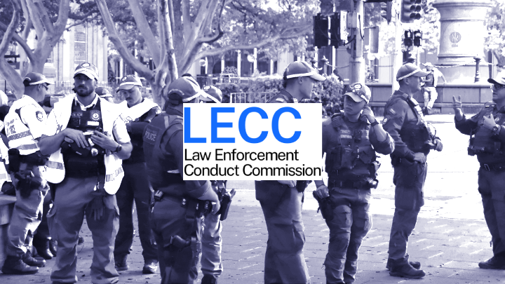 Watchdog Recommends Making It Compulsory for Police Officers to ...