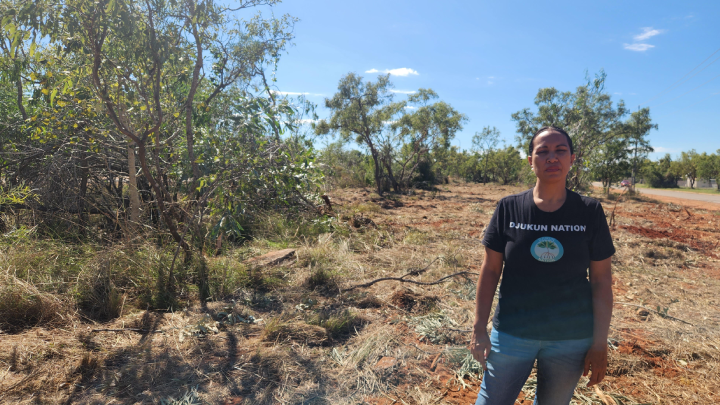 “The Creeping Erasure of Our Identity in Broome”: Interview with Djukun ...